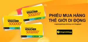 Phiếu mua hàng Thế Giới Di Động là gì? mua ở đâu? - TheGioiDiDong